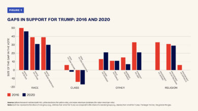 How Did We Get Here: Understanding the Demographic Sources of America's ...