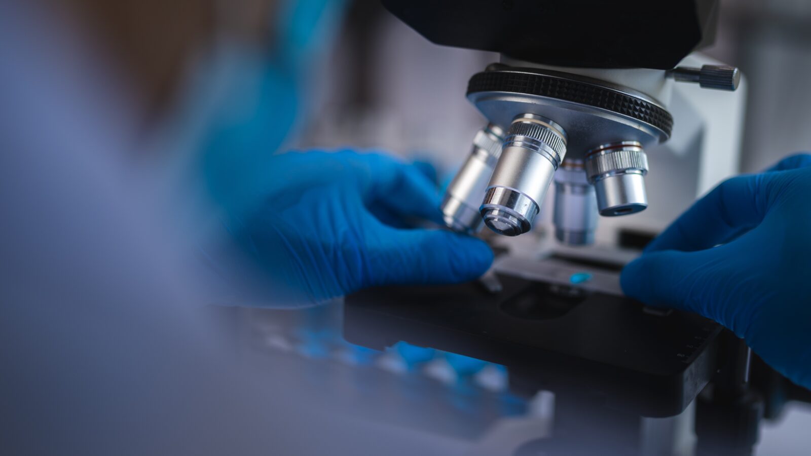 Jessica Denson Wins Major Victory Over Trump Campaign